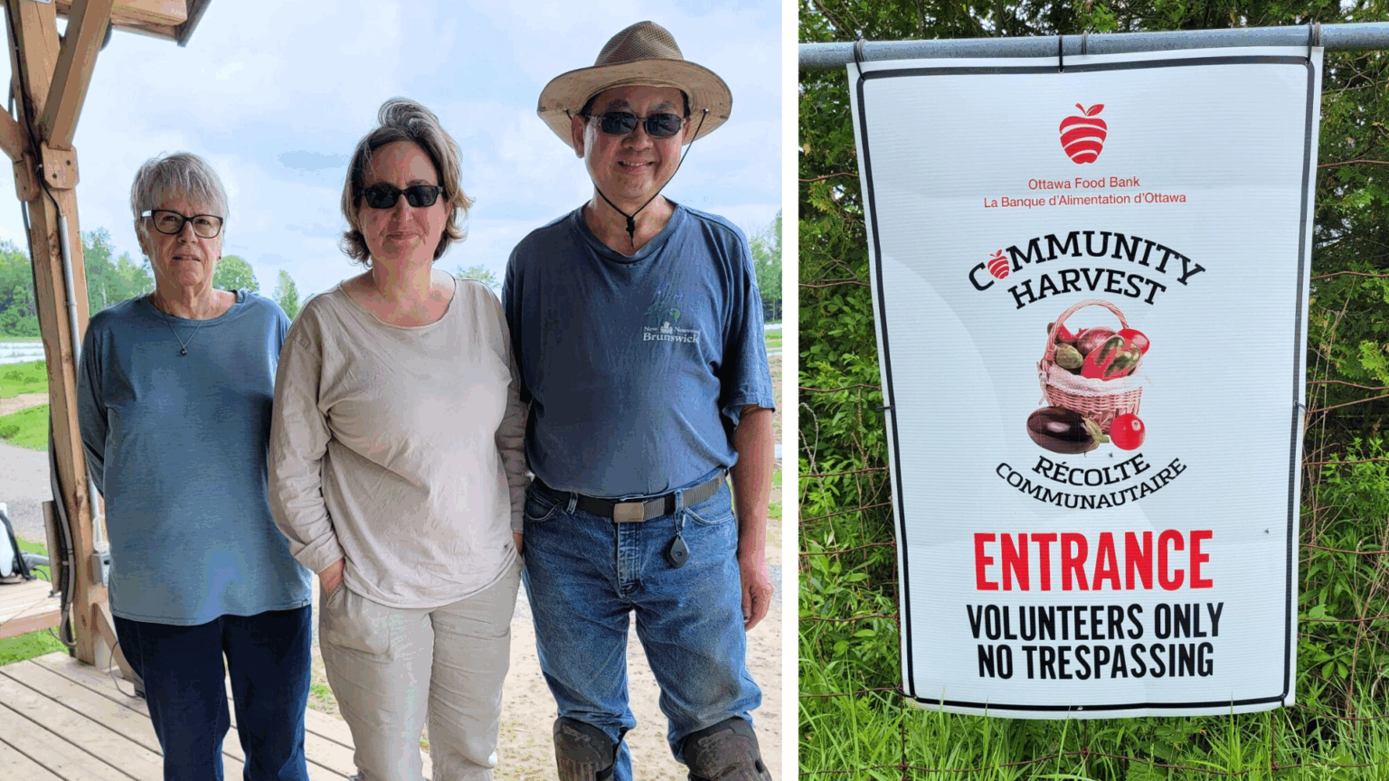 Volunteer Spotlight: Community Harvest Farm Volunteers - Ottawa Food Bank