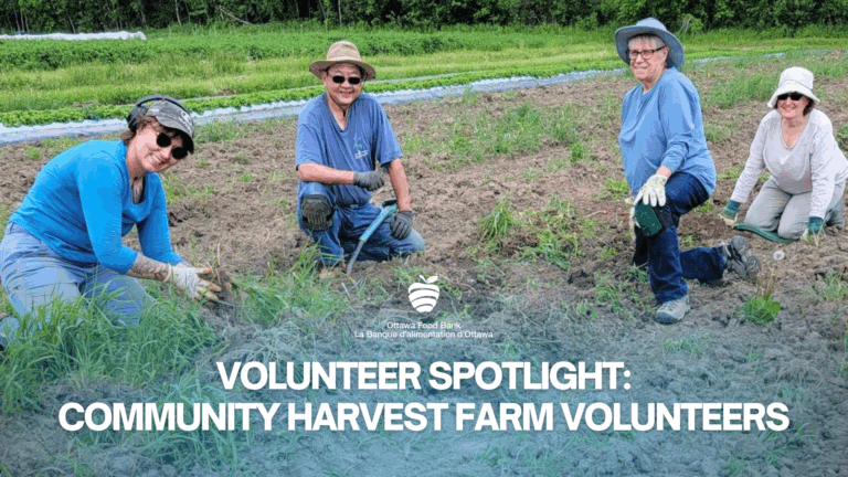 Volunteer - Ottawa Food Bank