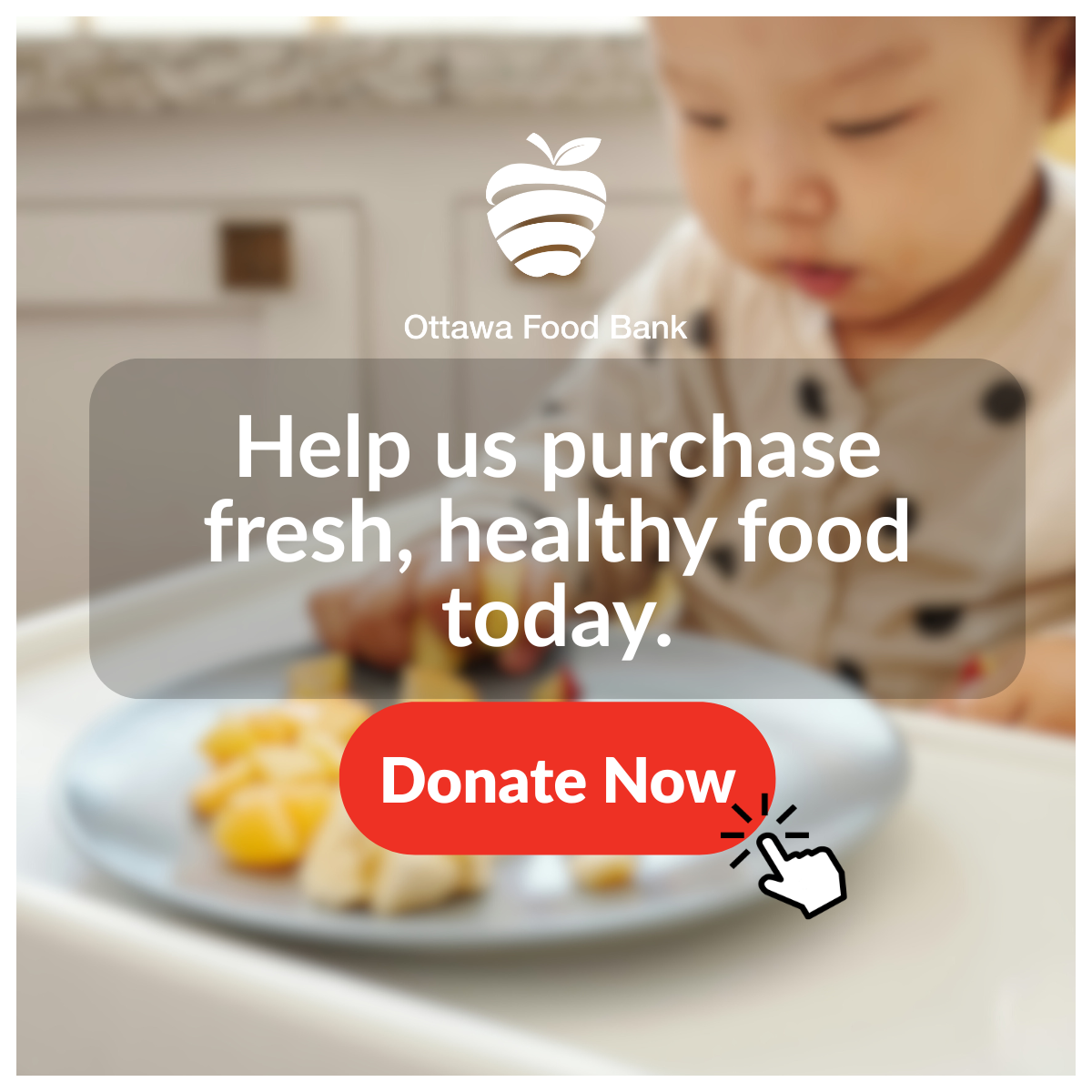 World Food Day 2025: How Our Food Decisions Are Made - Ottawa Food Bank